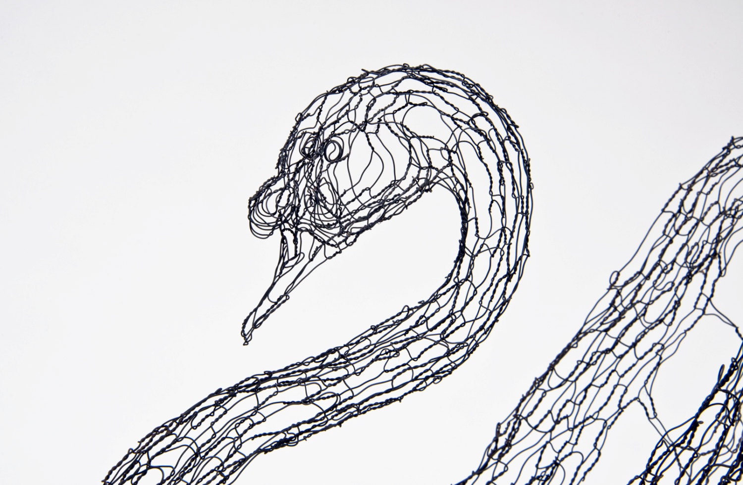 Mute Swan Taking Flight: 3D Wire Sculpture by Award-winning Artist ...