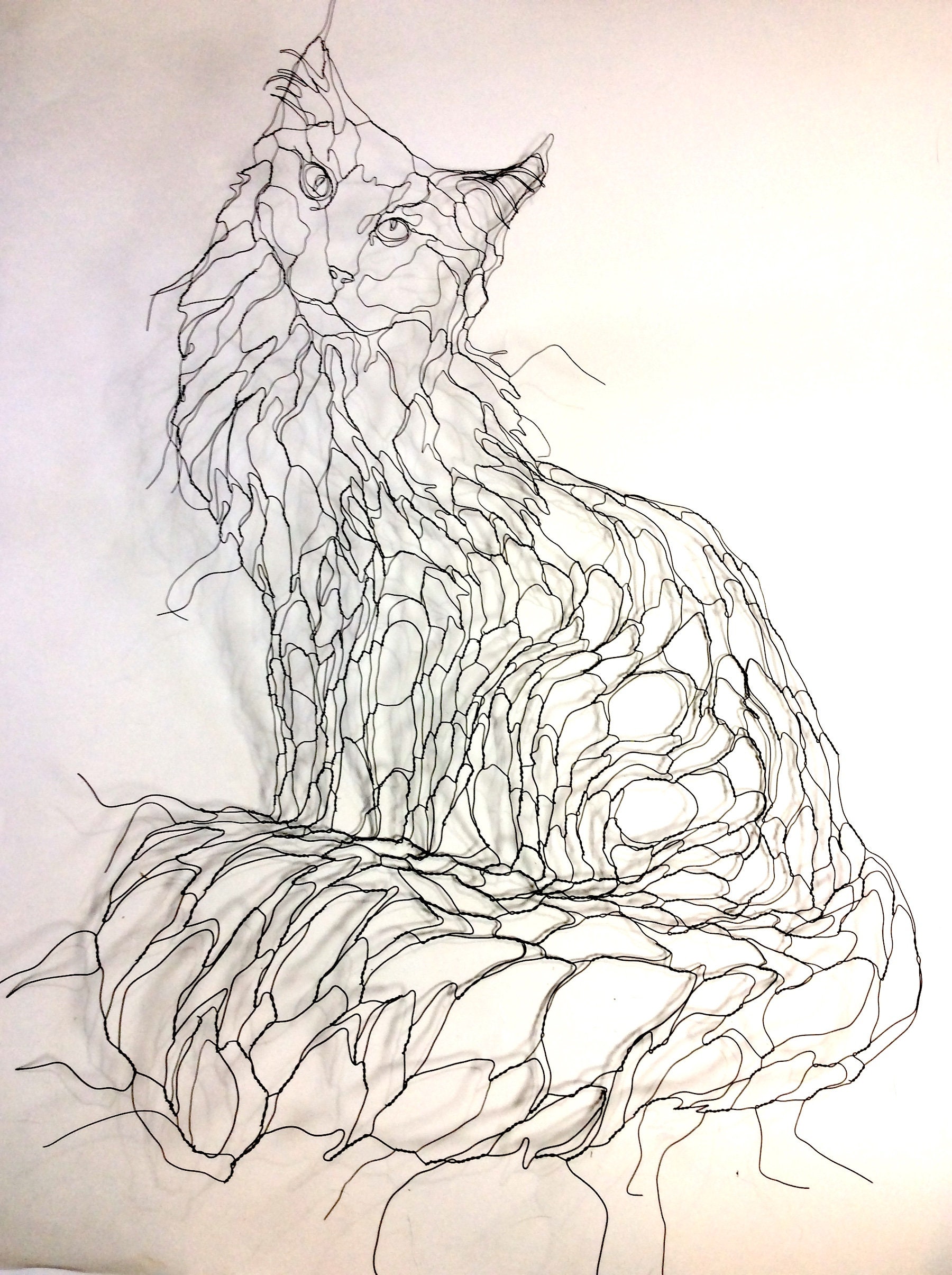 2D Fluffy Maine Coon or Norwegian Forest Cat, 24in 2D Wire Wall Art by ...