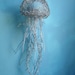 Wire Sculpture Jellyfish 24" by Elizabeth Berrien - Etsy