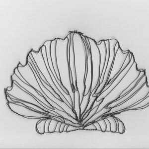 Set of 3 Sea Shell Wire Sculptures by Elizabeth Berrien - Etsy