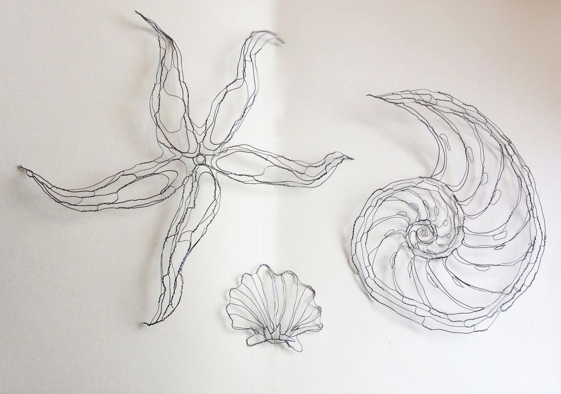 Set of 3 Sea Shell Wire Sculptures by Elizabeth Berrien - Etsy