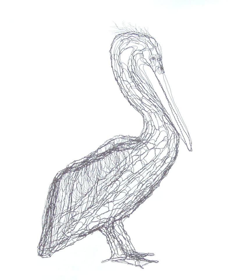 Brown Pelican, 27" 3D Wire Sculpture by Elizabeth Berrien - Etsy