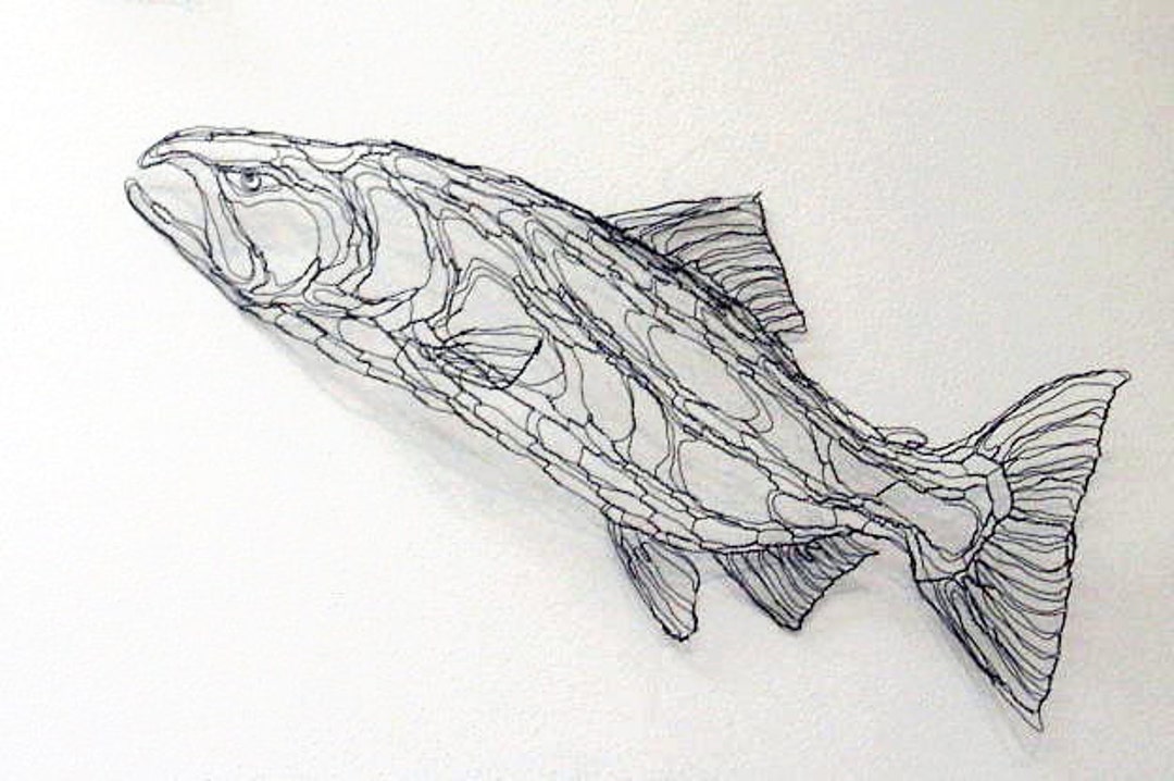 King Salmon 4ft Wire Sculpture 2D Wall Art by Elizabeth Berrien ...