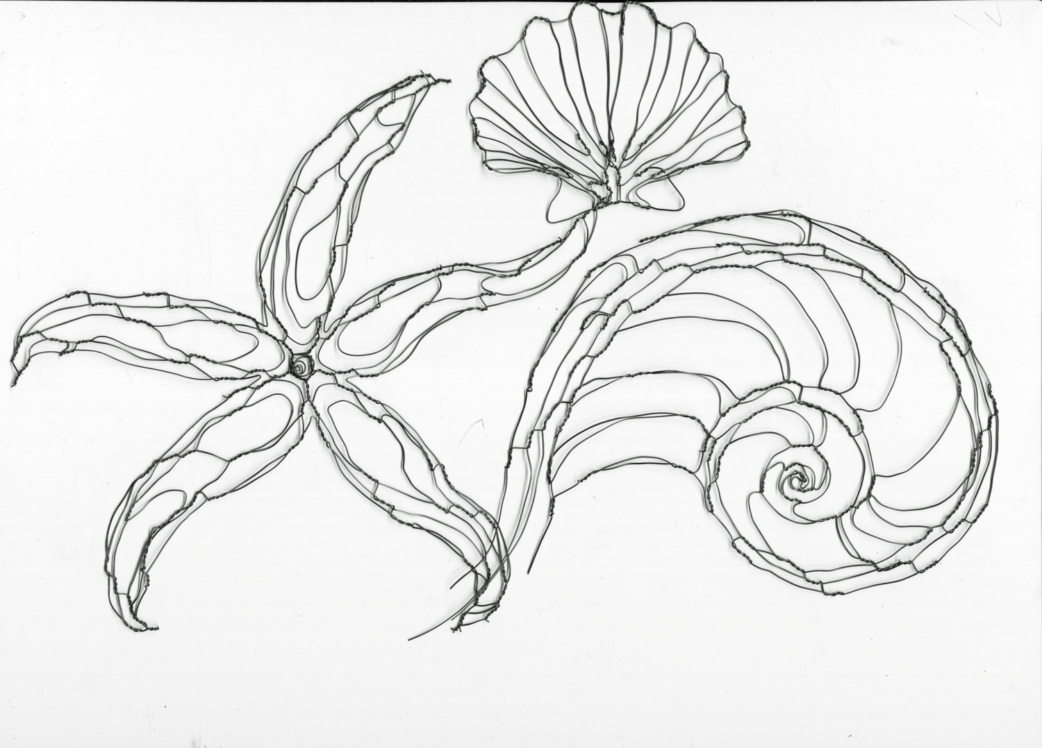 Set of 3 Sea Shell Wire Sculptures by Elizabeth Berrien - Etsy