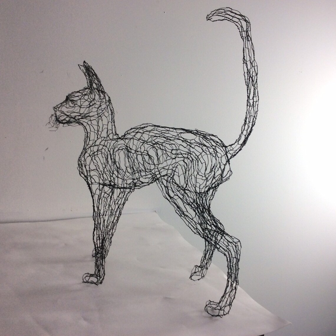 Standing Cat 3D Wire Sculpture by Artist Elizabeth Berrien - Etsy