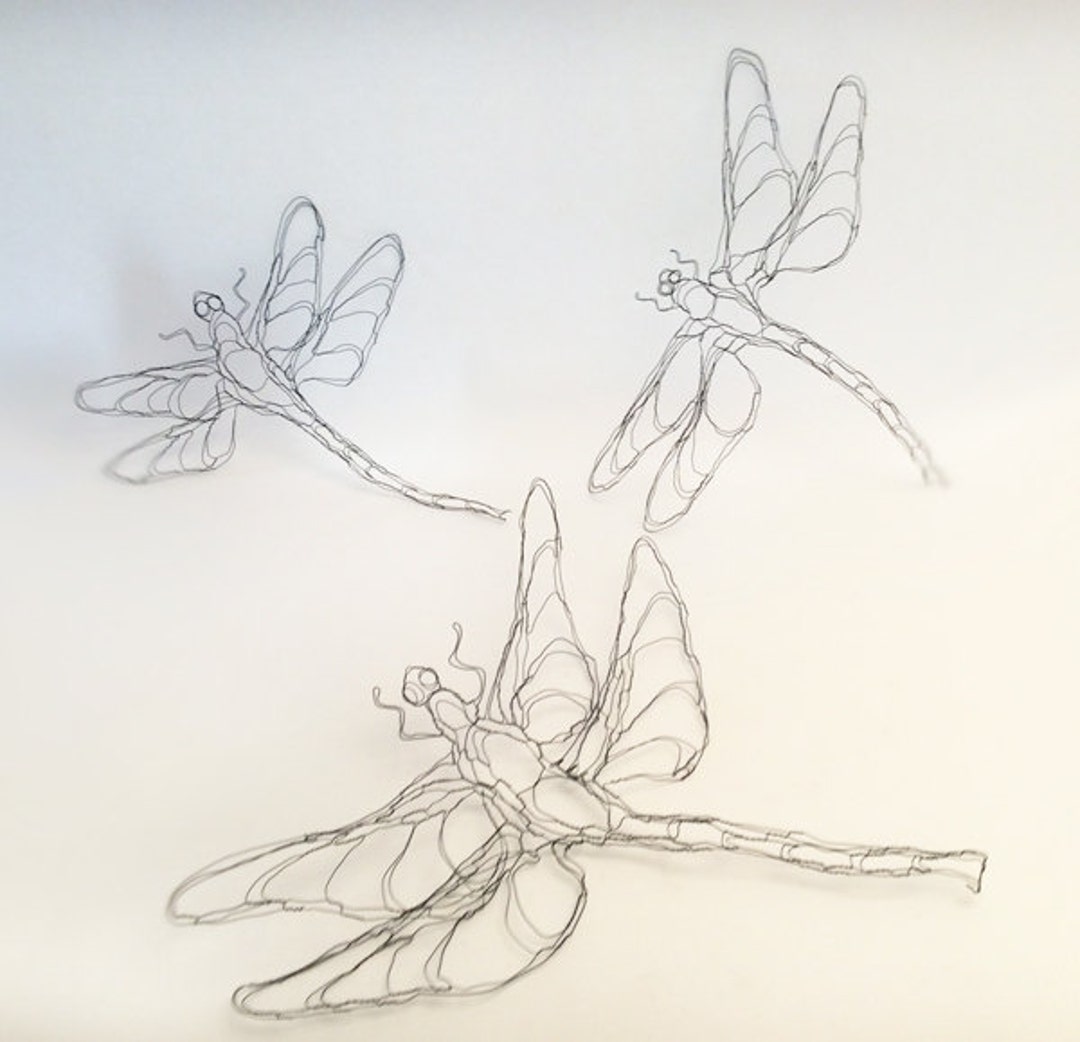Wire Sculpture 2D Dragonfly Wall Art by Elizabeth Berrien, Famous Wire ...