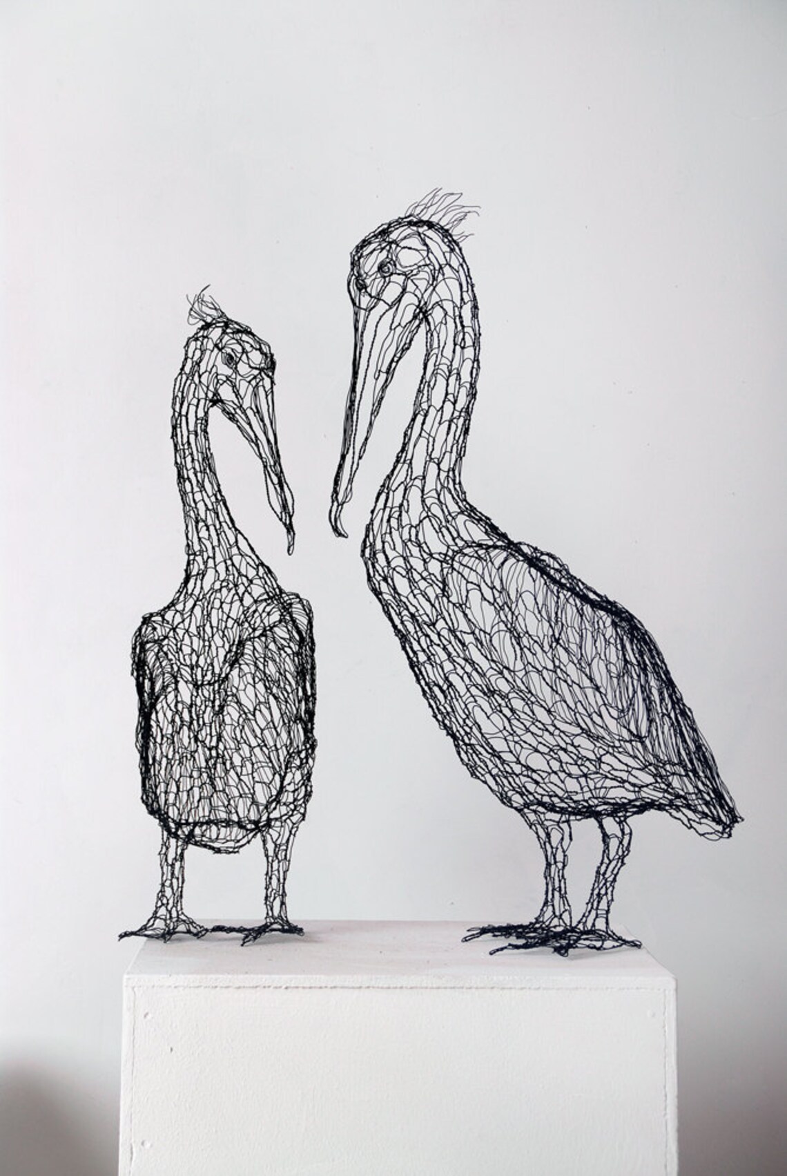 Brown Pelican, 27" 3D Wire Sculpture by Elizabeth Berrien - Etsy