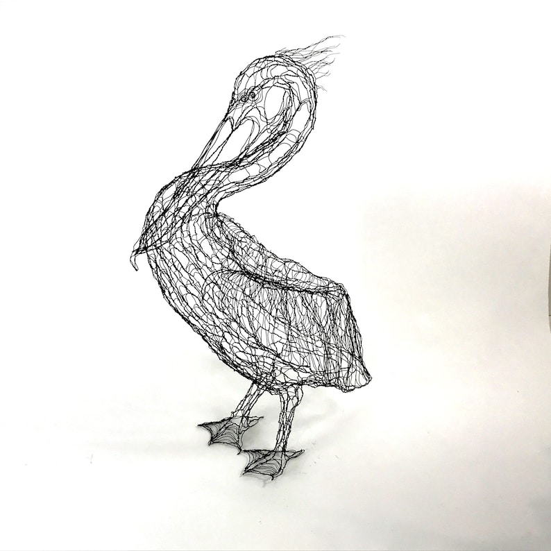 Brown Pelican, 27" 3D Wire Sculpture by Elizabeth Berrien - Etsy