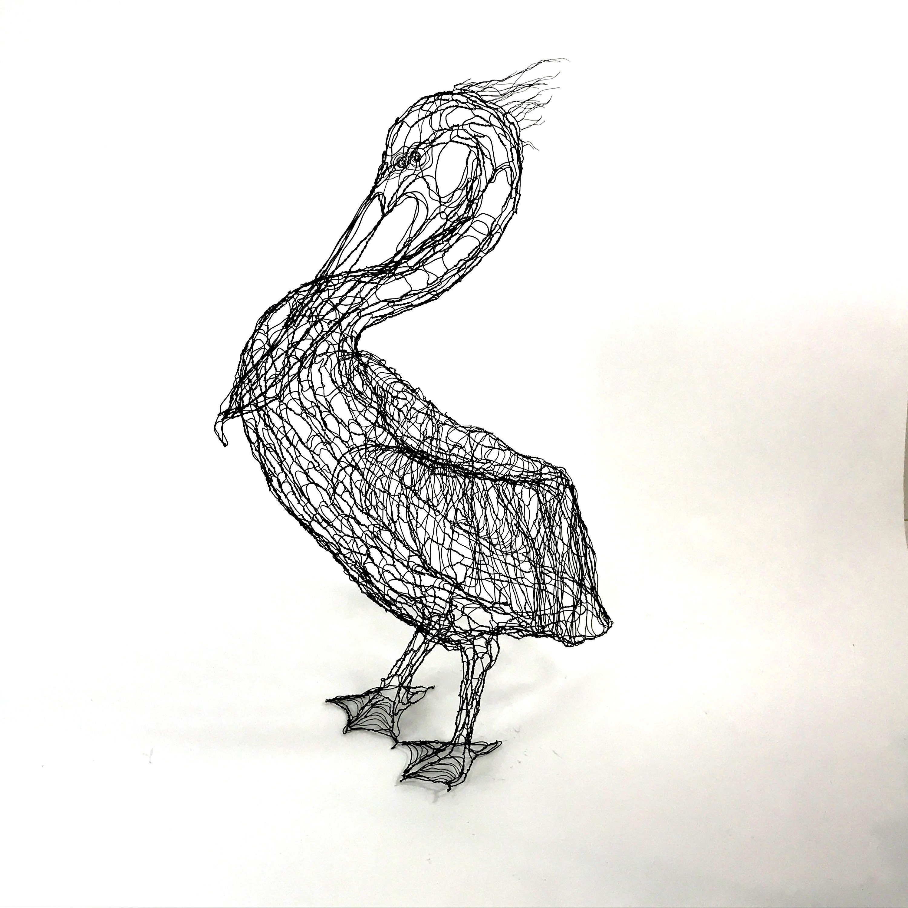 Brown Pelican, 27" 3D Wire Sculpture by Elizabeth Berrien - Etsy