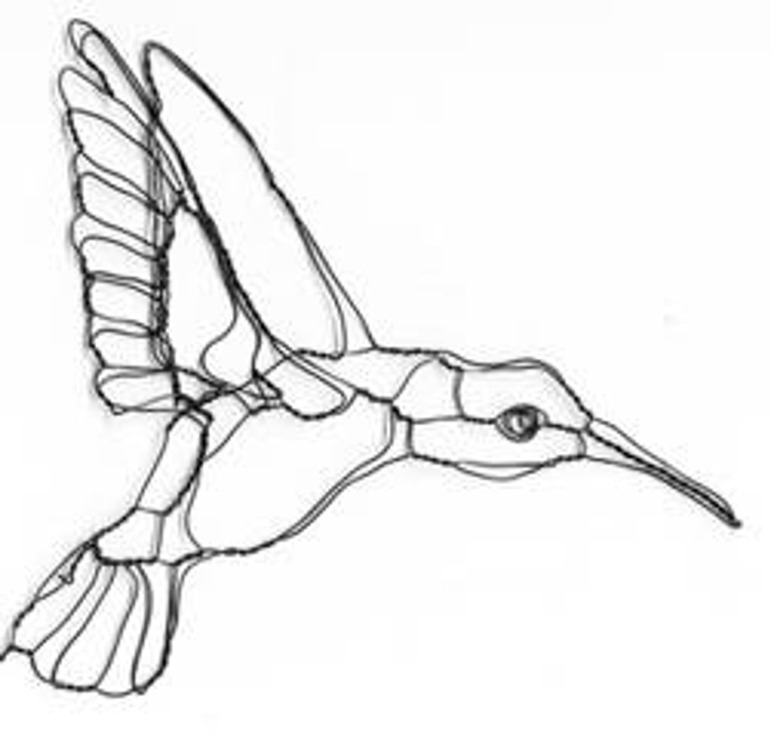 Hummingbird and Bloom, 2D Wire Wall Art by Elizabeth Berrien - Etsy