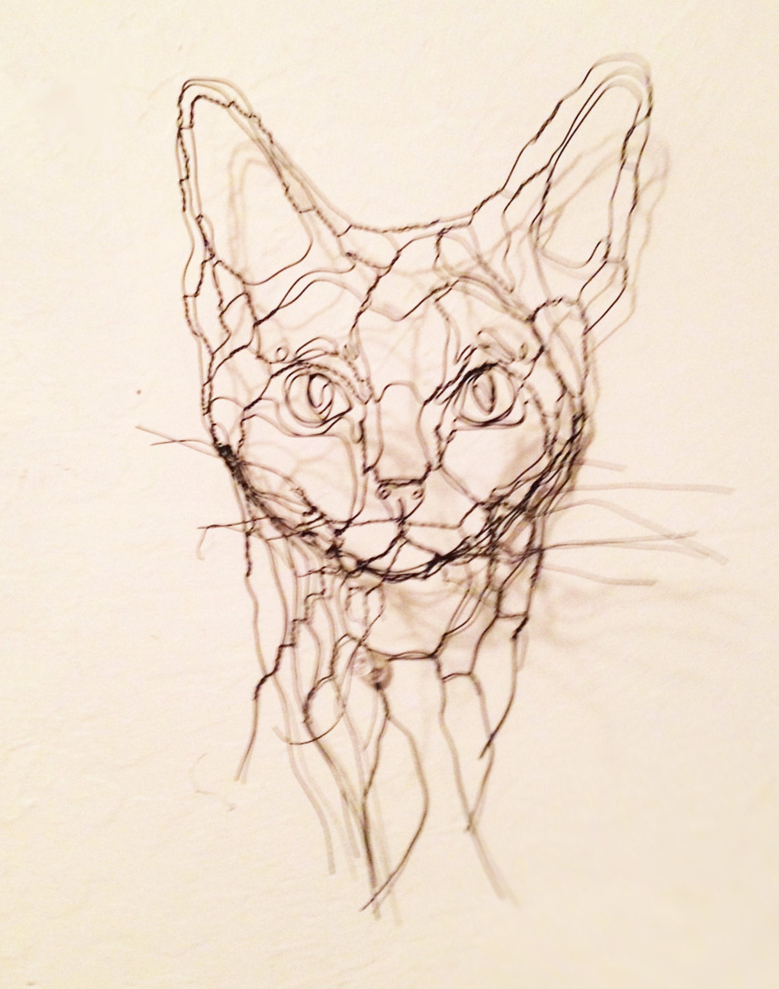 Wire Sculpture Cat Mask: Wall Art by Elizabeth Berrien, Internationally ...