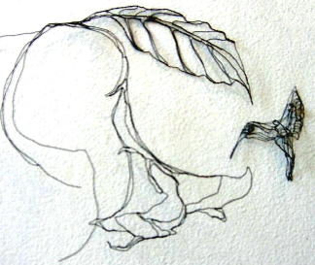 Hummingbird and Bloom, 2D Wire Wall Art by Elizabeth Berrien - Etsy