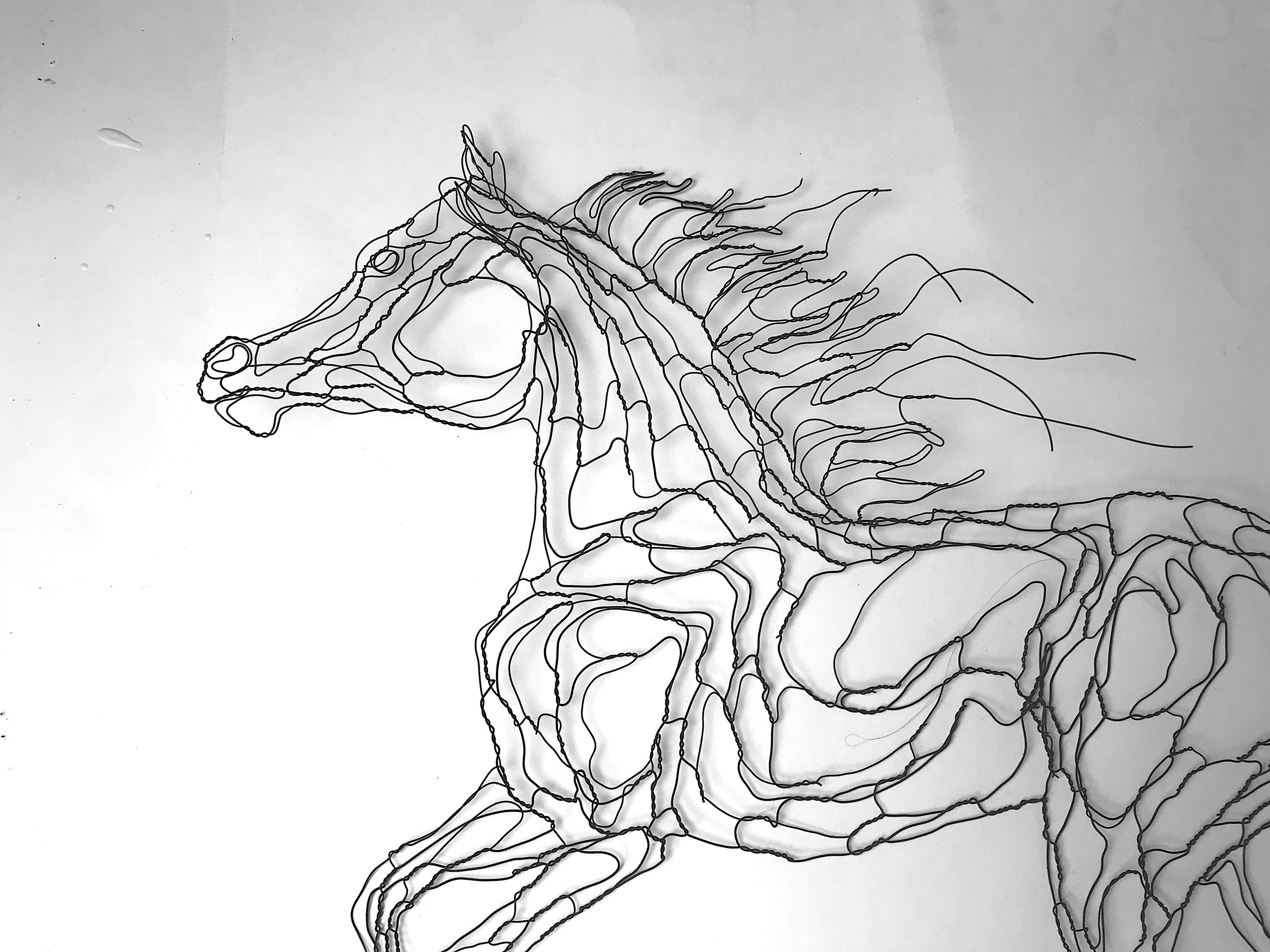 Running, Galloping Arabian Wild Horse 2D, 24" Wire Sculpture by ...