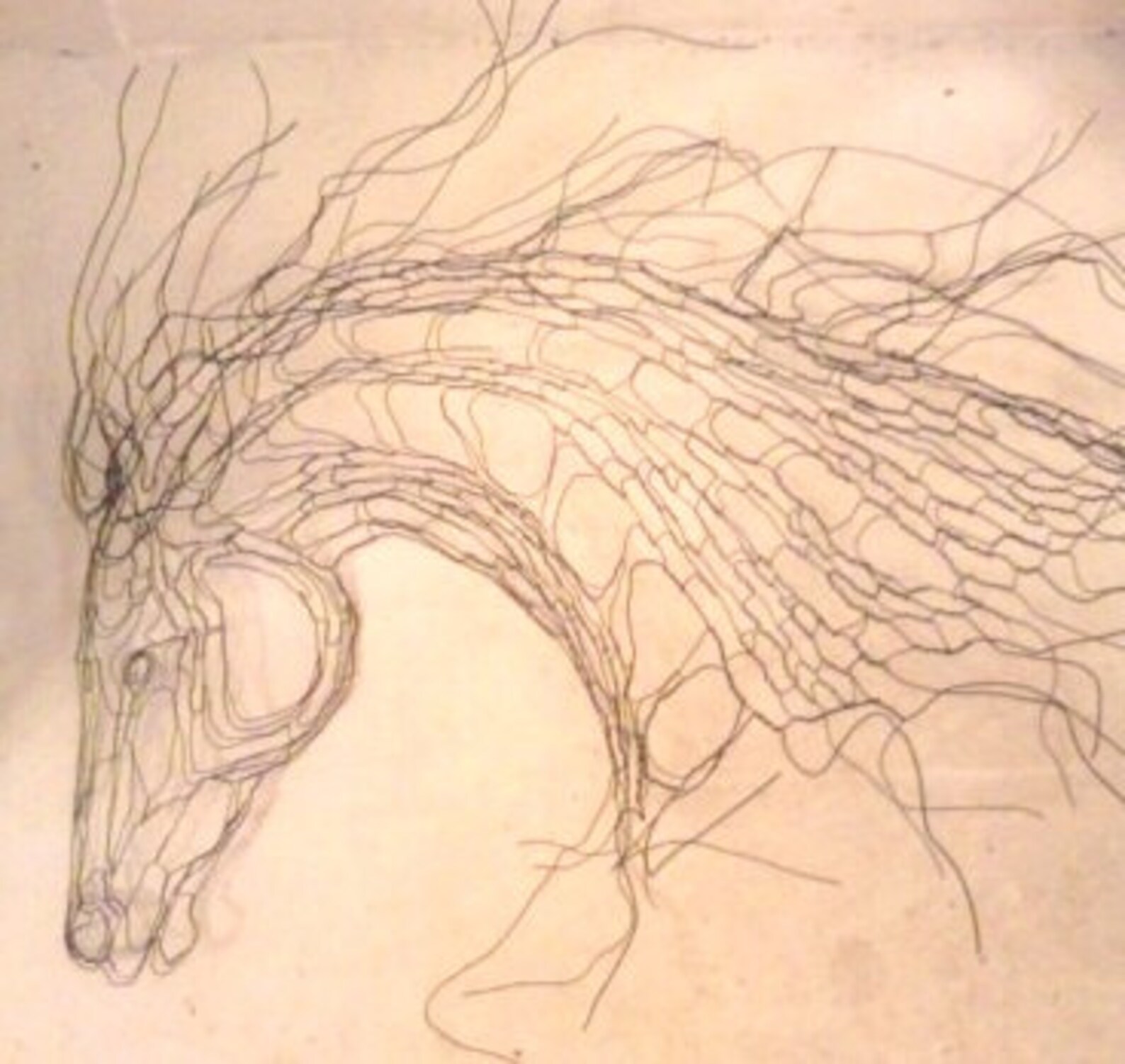 Horse Head 30" Wire Wall Art by Elizabeth Berrien, Internationally ...