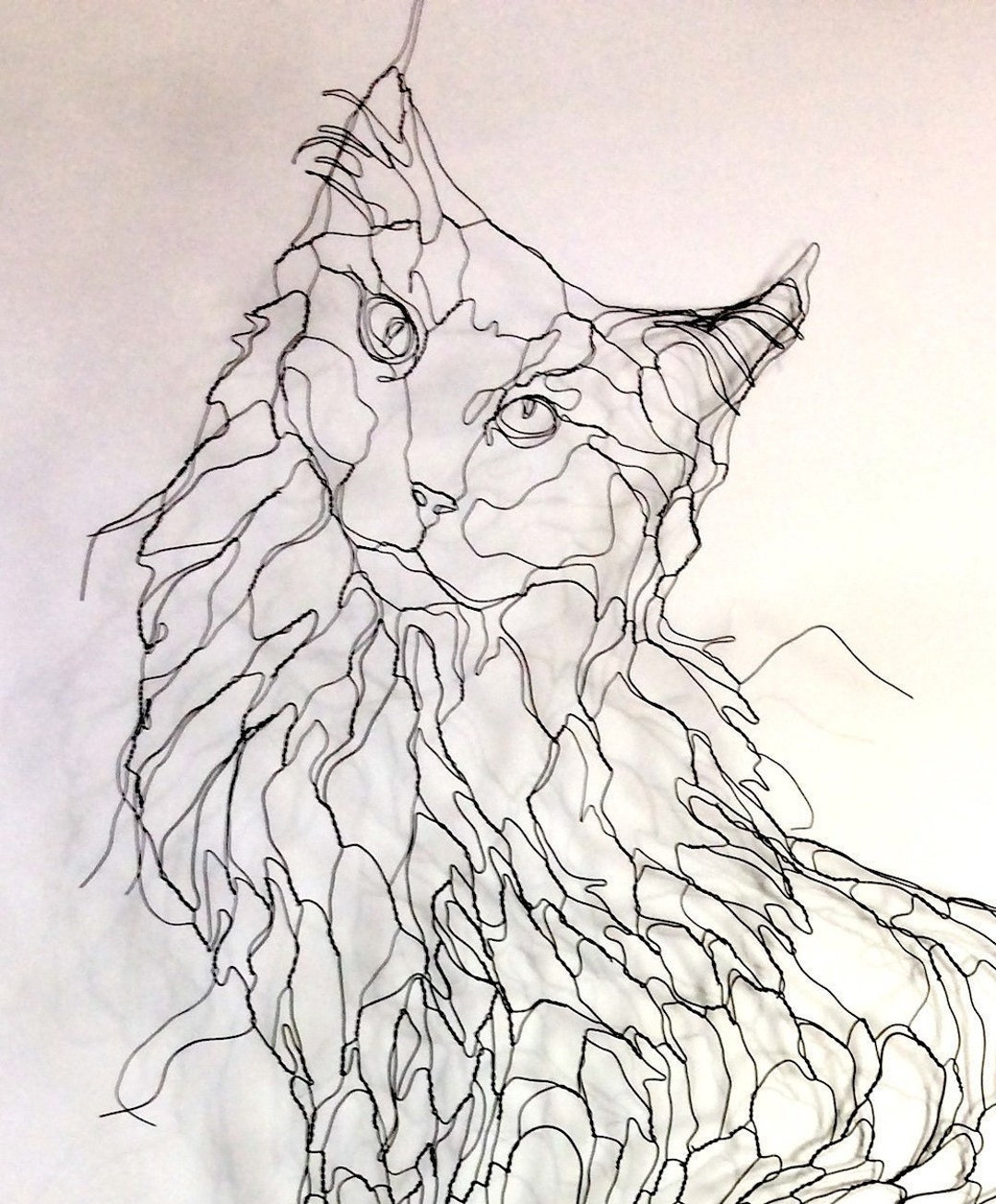 2D Fluffy Maine Coon or Norwegian Forest Cat, 24in 2D Wire Wall Art by ...