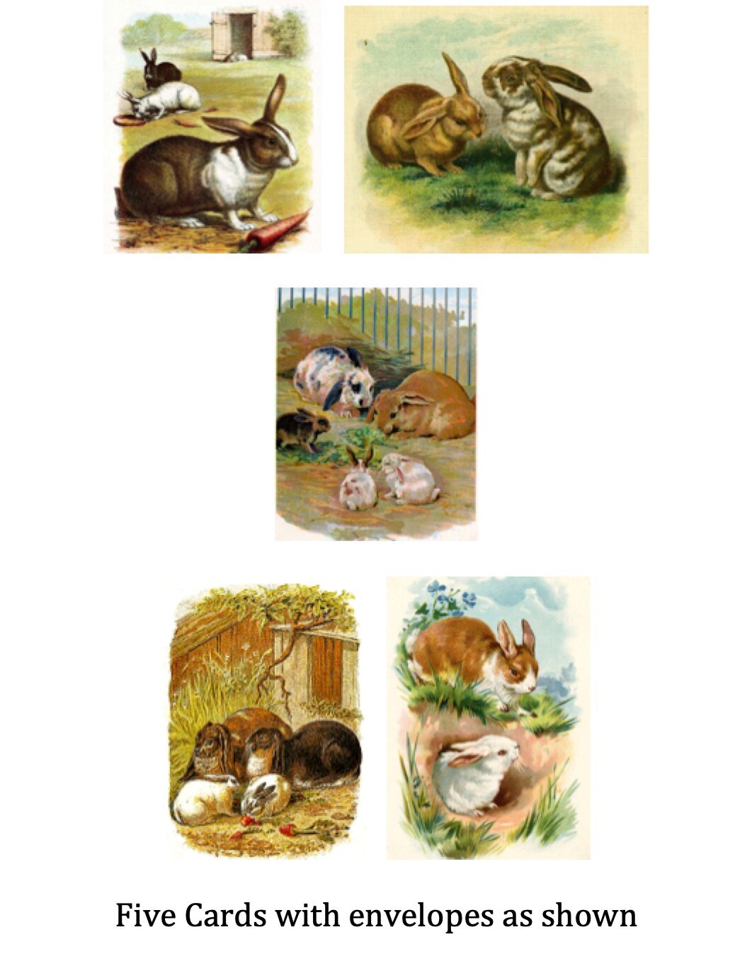 Colorful Bunny Rabbit Vintage Drawings Note Cards Greeting Cards Boxed ...
