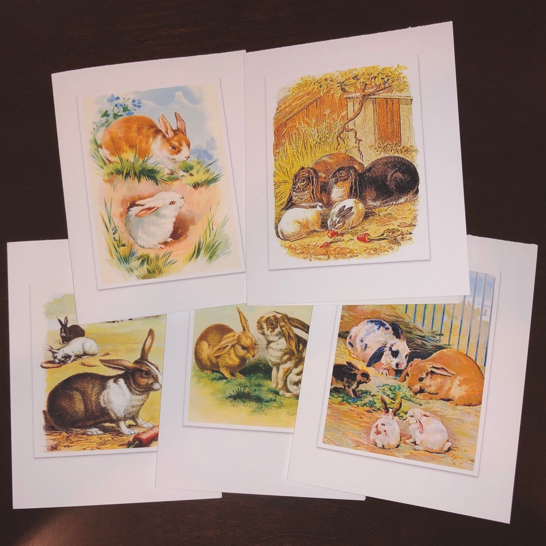 Colorful Bunny Rabbit Vintage Drawings Note Cards Greeting Cards Boxed ...