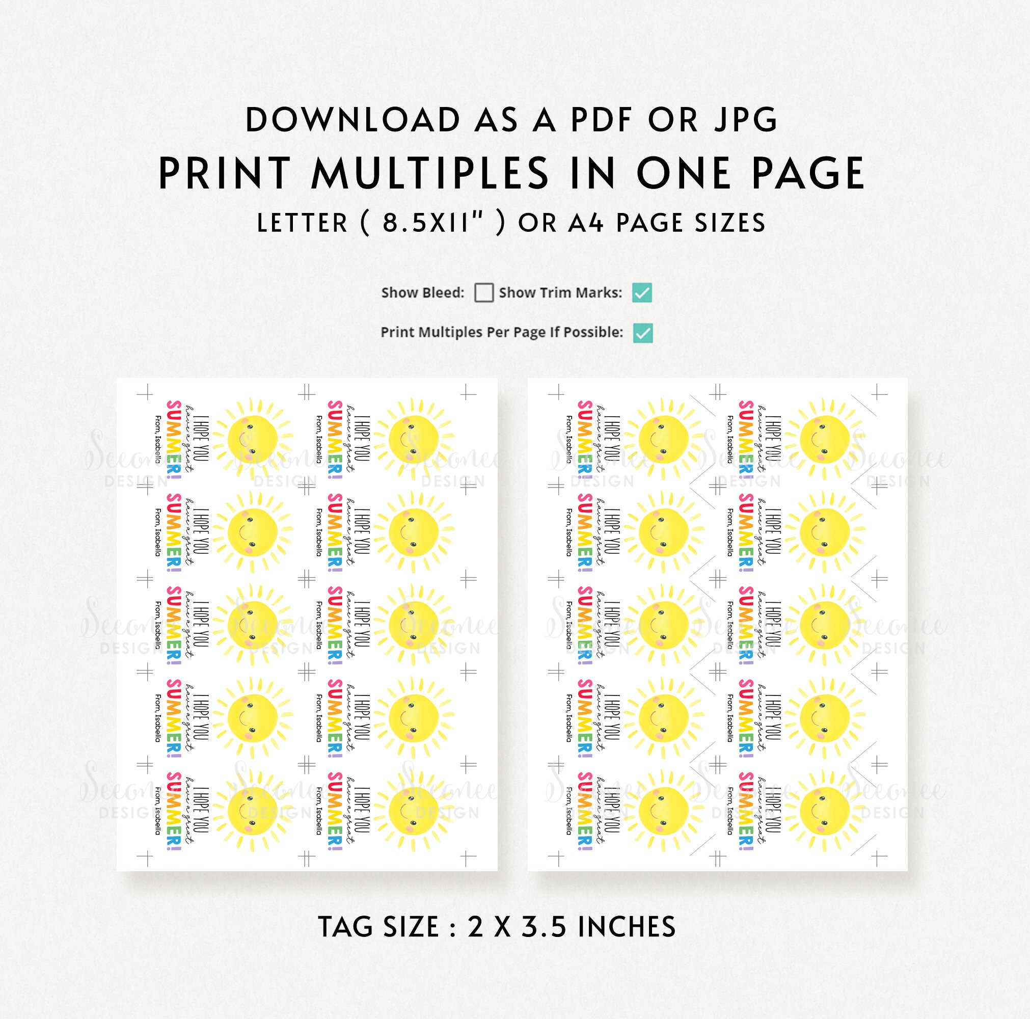 I Hope You Have A Great Summer Gift Tag, Editable Last Day of School ...