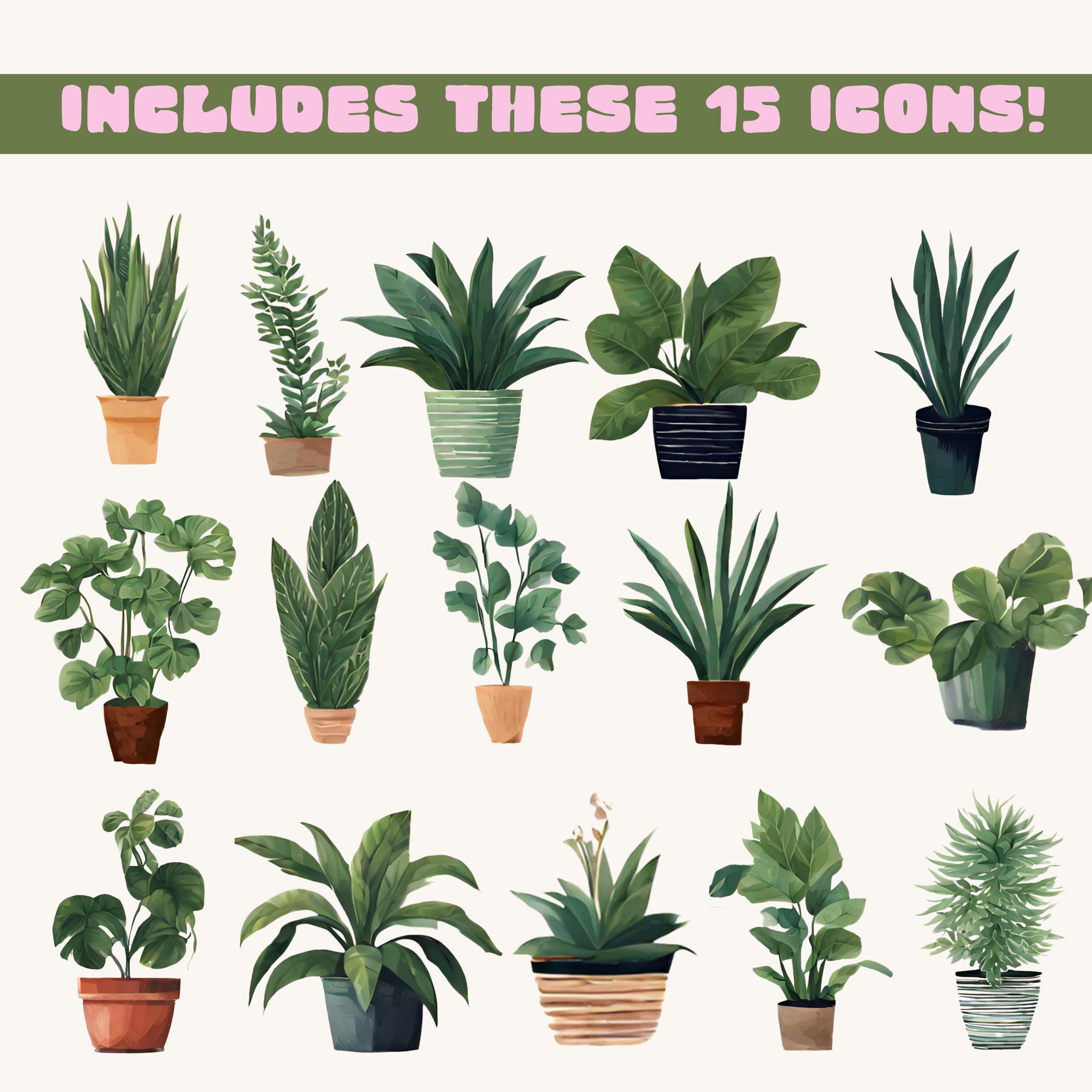 House Plant File Folder Icons – 15 Pack for Mac & PC | Aesthetic ...