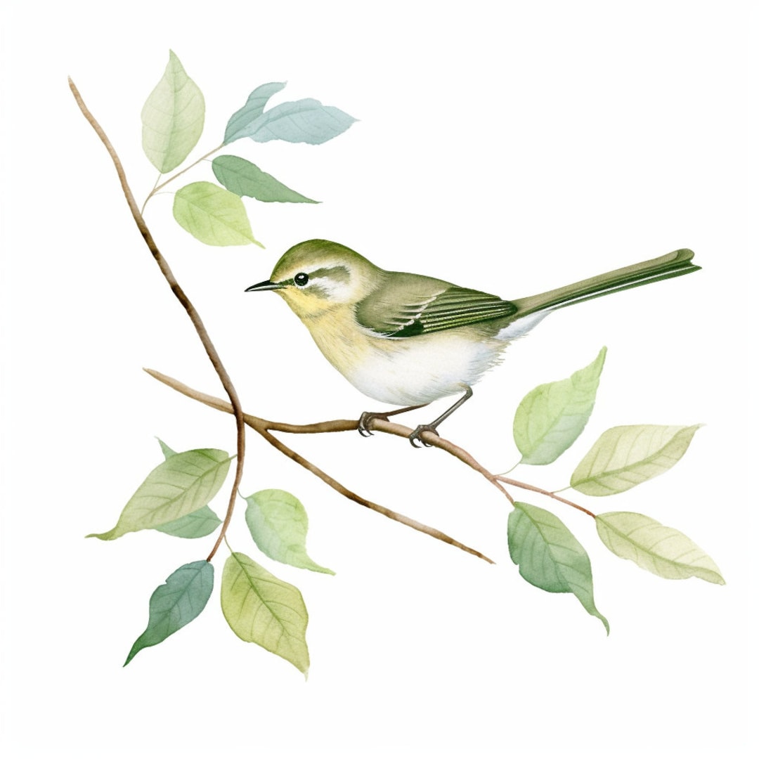 Warbler Wall Art Illustration Print Watercolor Download - Etsy