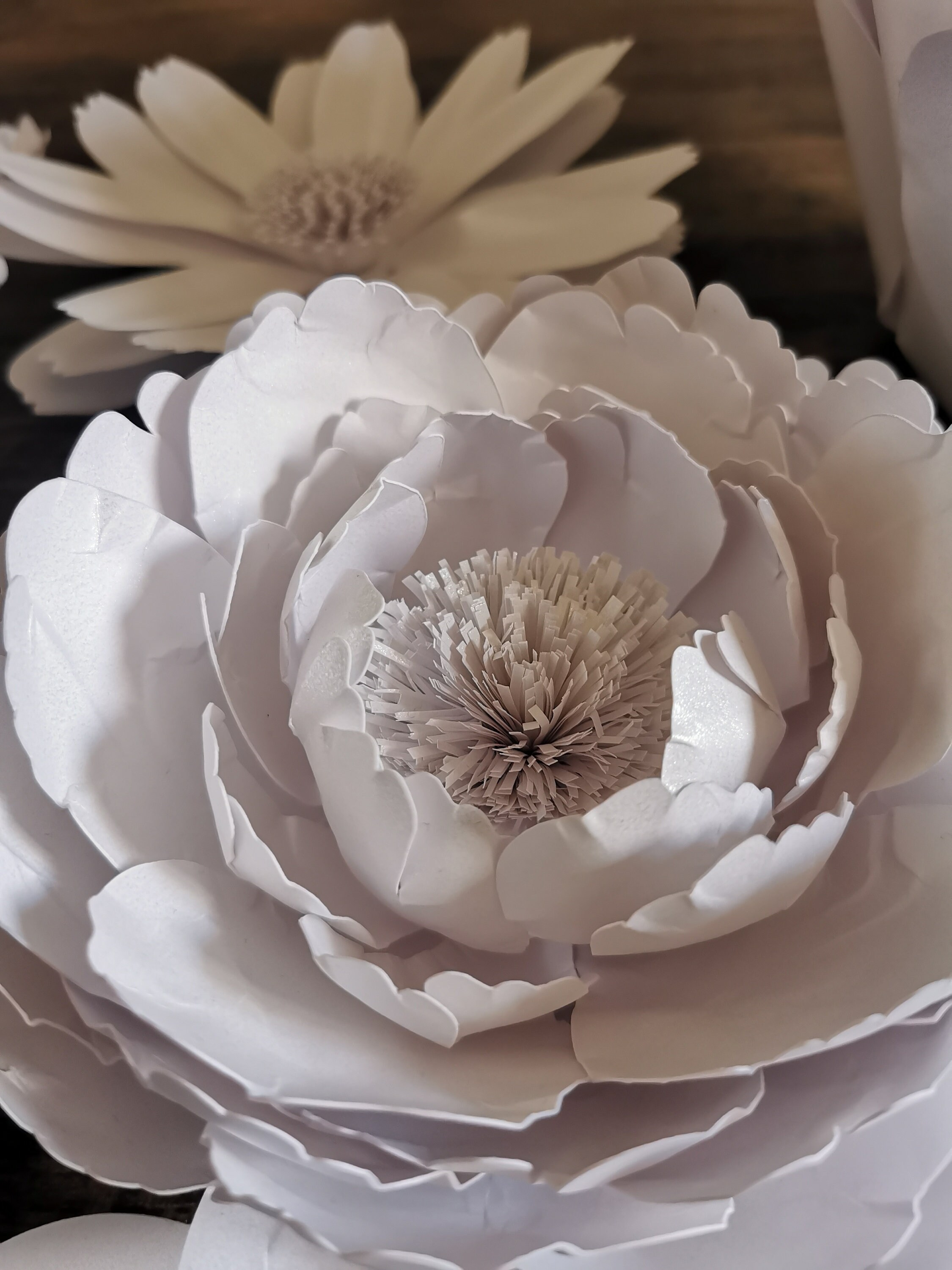 Modern White Paper Flower Wall Decor White Flower Wall Art - Etsy
