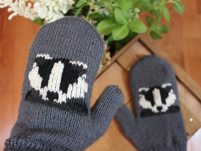 Badger Mittens / Wisconsin Badger Mittens / Bucky the Badger Mittens - Etsy