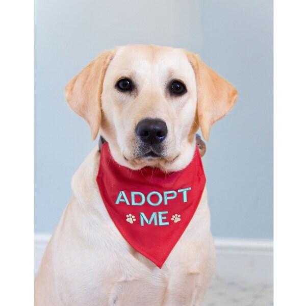 Adopt Me - Etsy