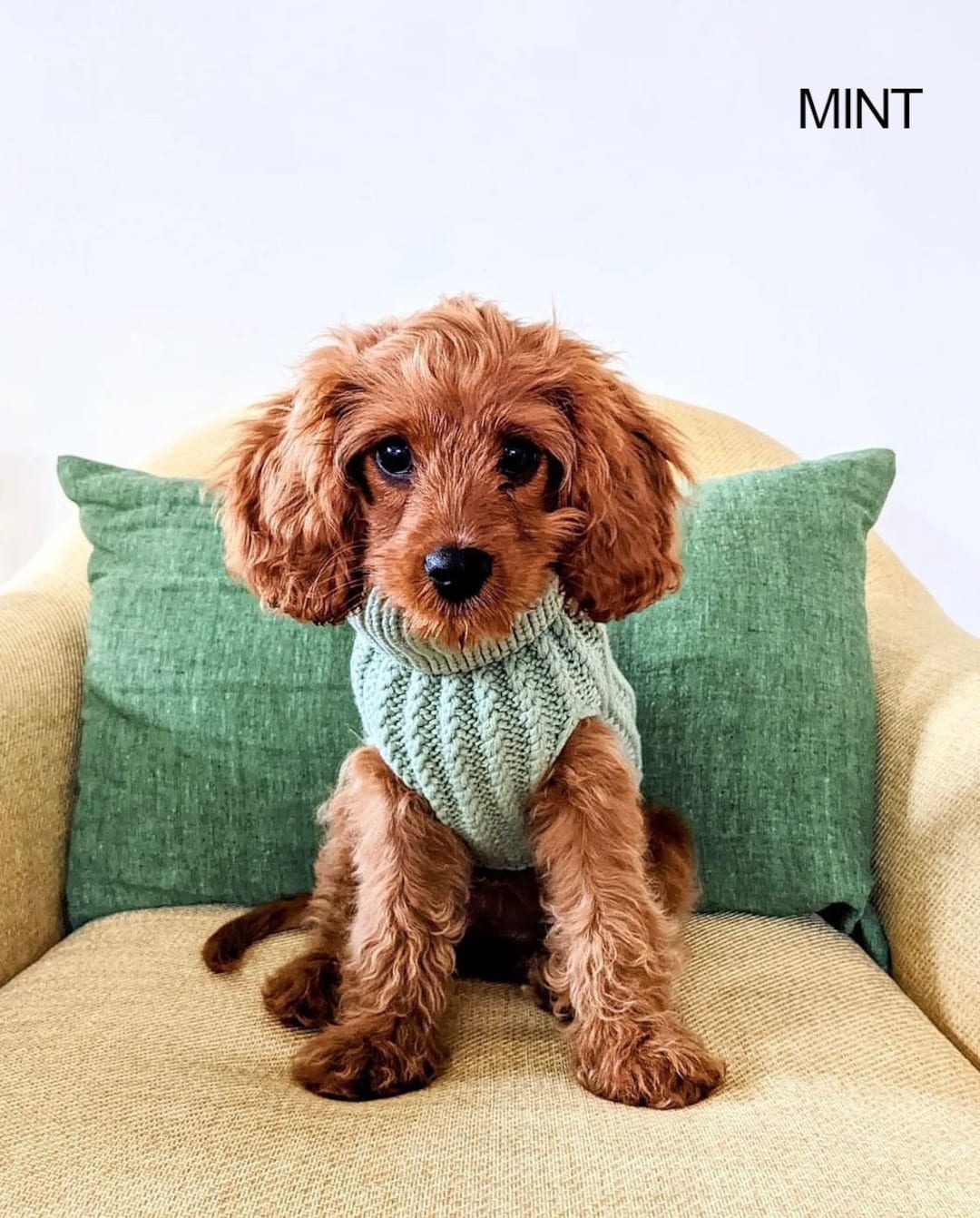 1 Personalised Dog Jumper, Dog Coats, Dog Lover Gift, Pet Gift, Dog ...