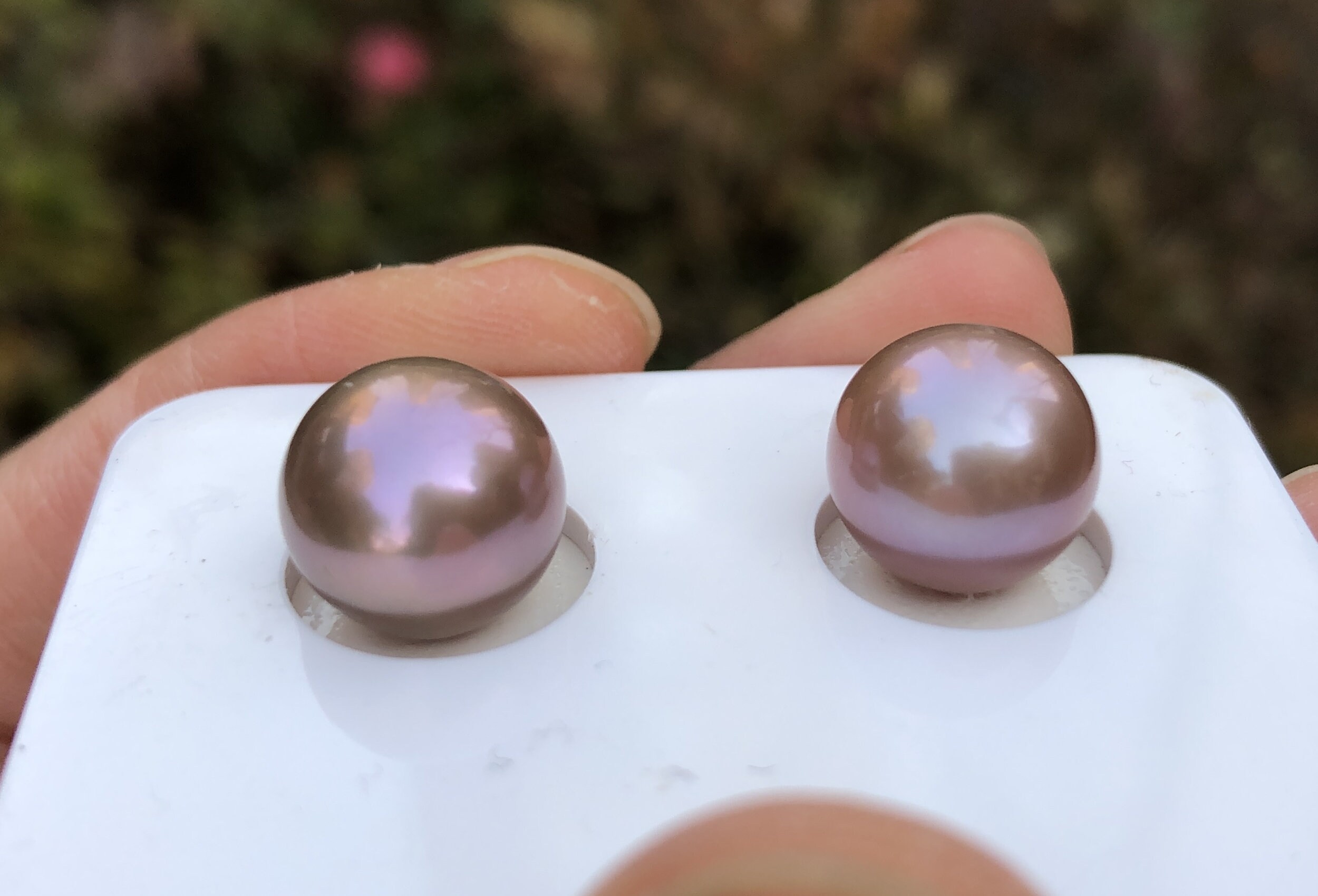 1pair 10-11mm Pink Edison Pearl genuine Freshwater Pearl - Etsy