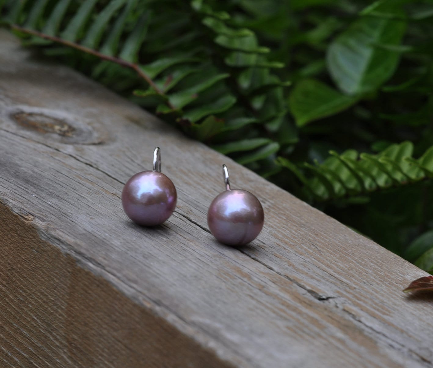 13-14mm Pink/Purple color Edison pearl earringsgenuine | Etsy