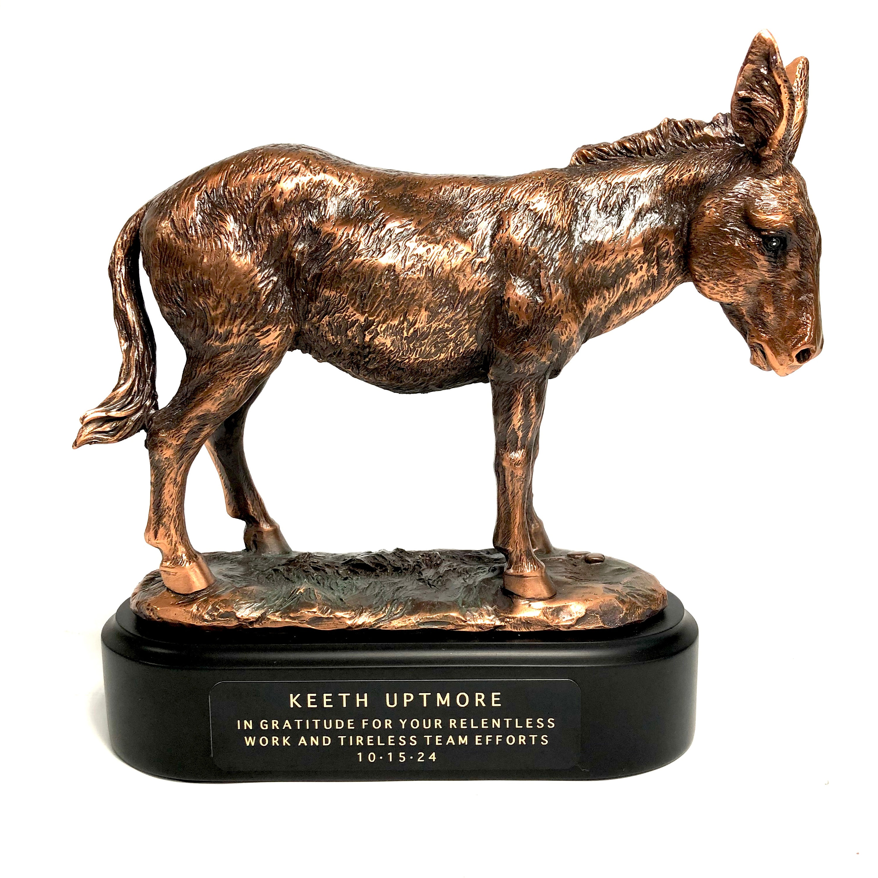 Donkey Ass Award | Etsy