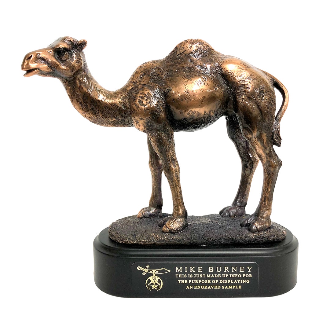 Bronze Camel - Etsy
