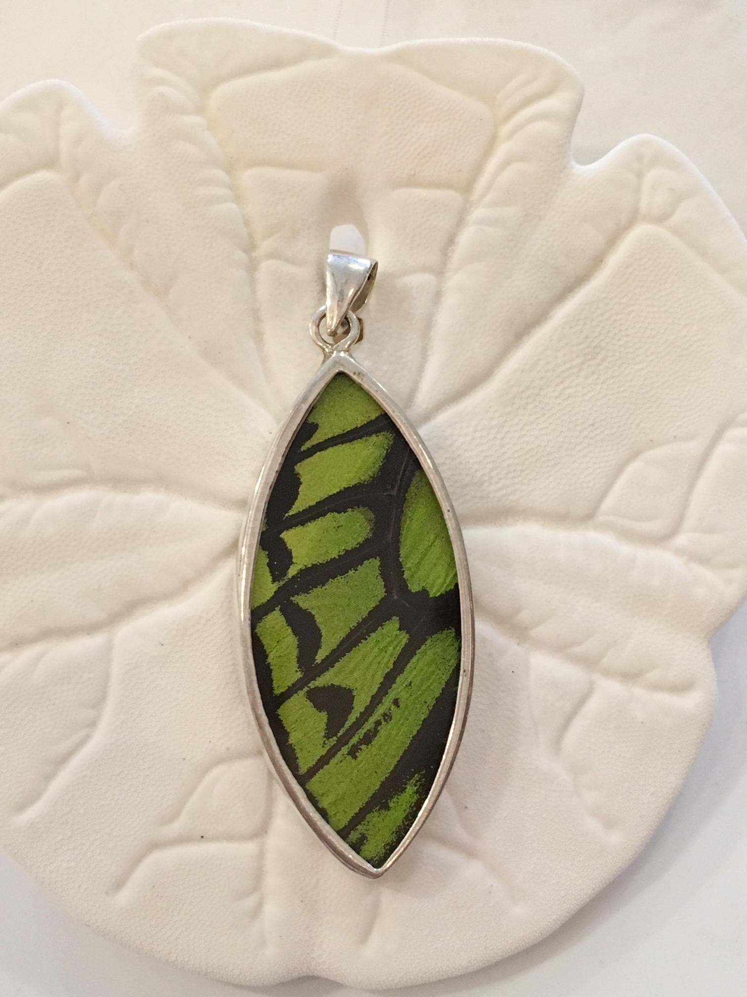LIME WING Butterfly Wing Pendant// Butterfly Wing Jewelry// AUTHENTIC ...