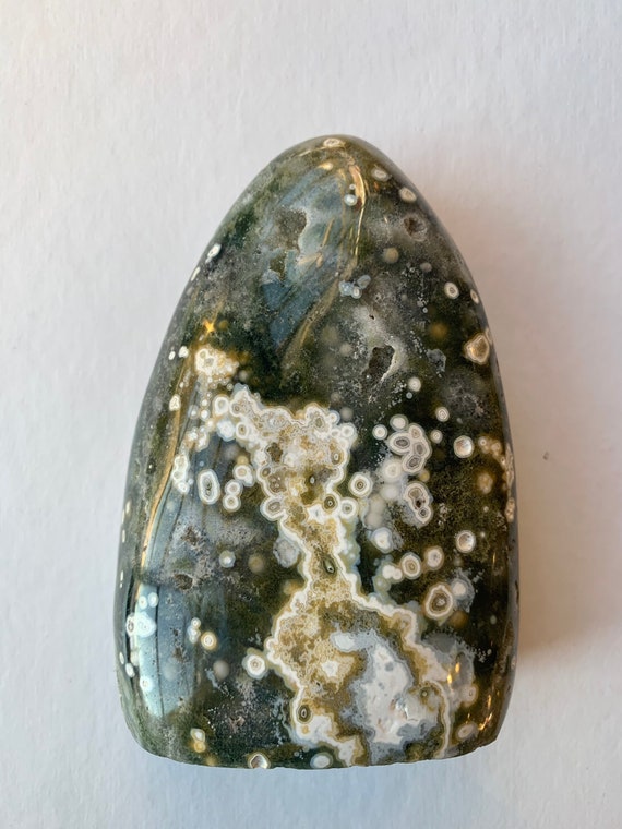 ScallopsMineral Shell