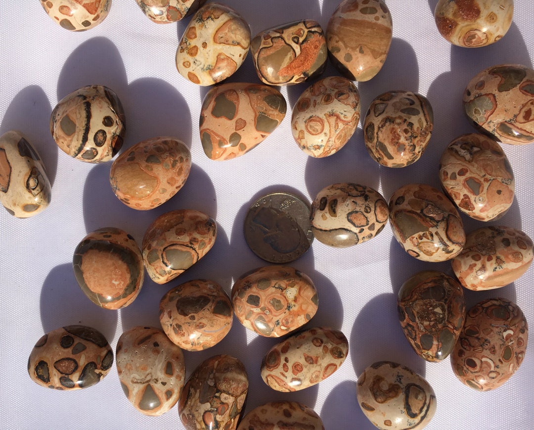 Beautiful Tumbled LEOPARDITE Healing Gemstone// Safari - Etsy