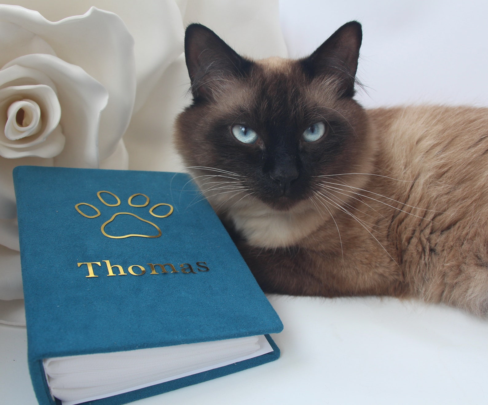 Personalised Pet Photo Album. Cat Photo Album 4x6. Dog - Etsy