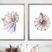Set of 6 Watercolor Seashell Art Prints, Seashell Paintings, Nautical ...
