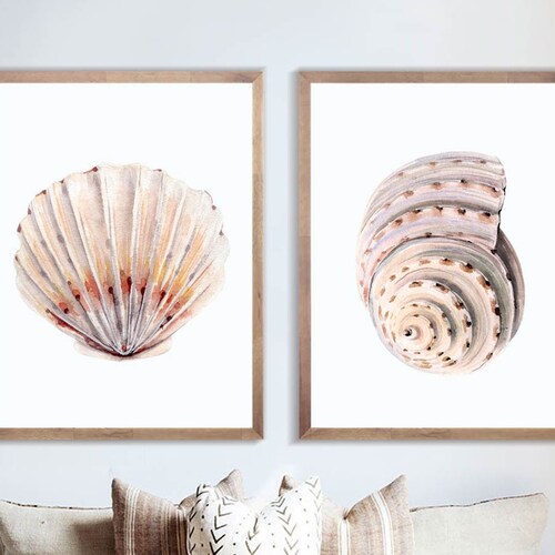 Set of 2 Watercolor Seashells Art Prints Sea Shells Pink Wall - Etsy
