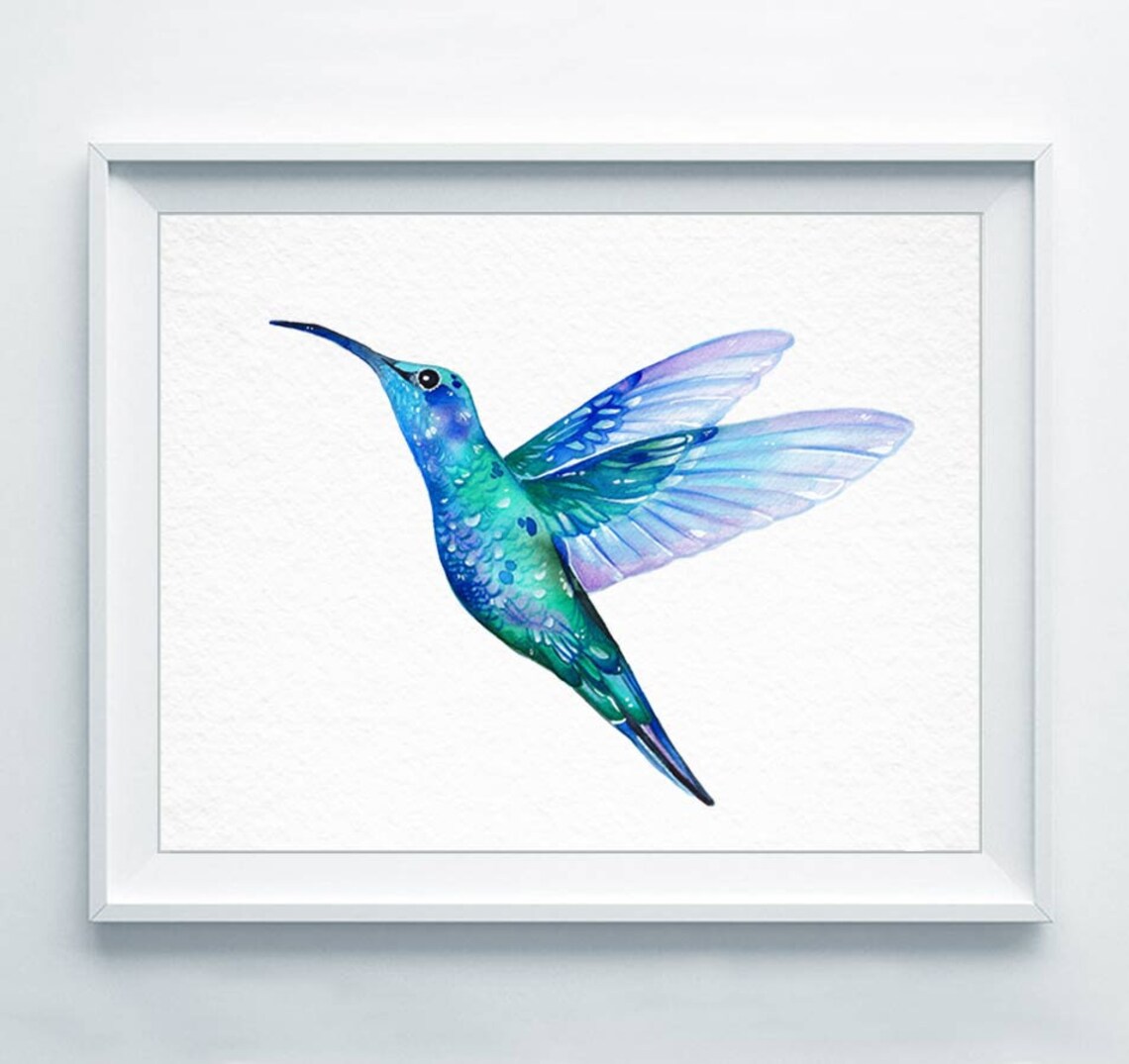 Hummingbird Art Set of 6 Prints Hummingbird Art Poster - Etsy