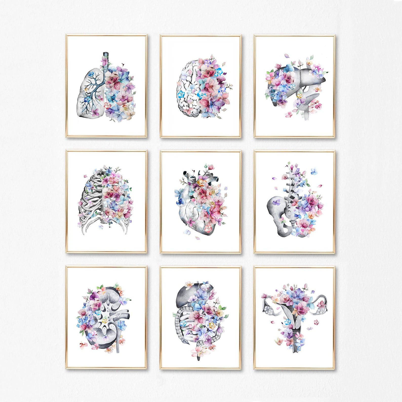 Brain Heart Lungs Rib Cage Pelvis Kidney Anatomy Print Set of - Etsy