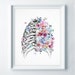 Rib Cage Anatomy Print Bones Skeleton Decor Doctor Gift Clinic Medicine ...