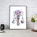 Male Reproductive System Anatomy Print Decor Doctor Gift Clinic ...