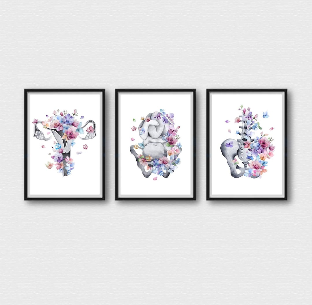 Pregnancy Anatomy Print Doctor Gift Reproductive System Baby in Womb ...
