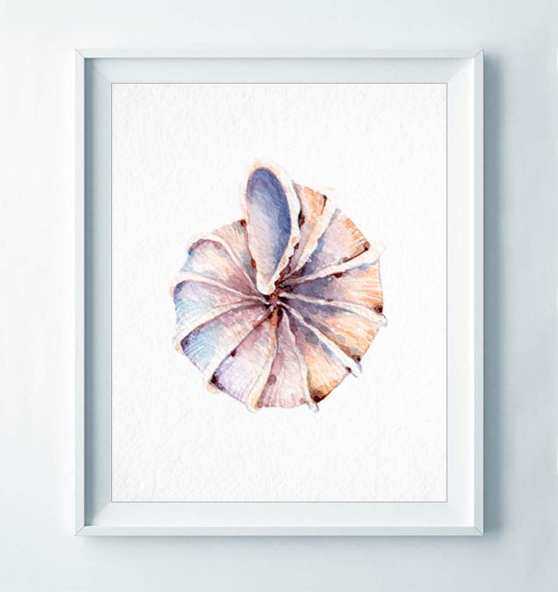 Set of 6 Watercolor Seashell Art Prints, Seashell Paintings, Nautical ...