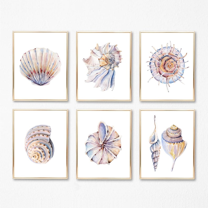 Set of 6 Watercolor Seashell Art Prints Seashell Paintings - Etsy
