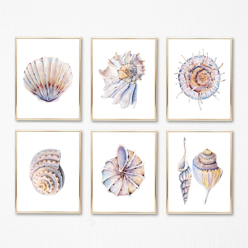 Seashell Art - Etsy