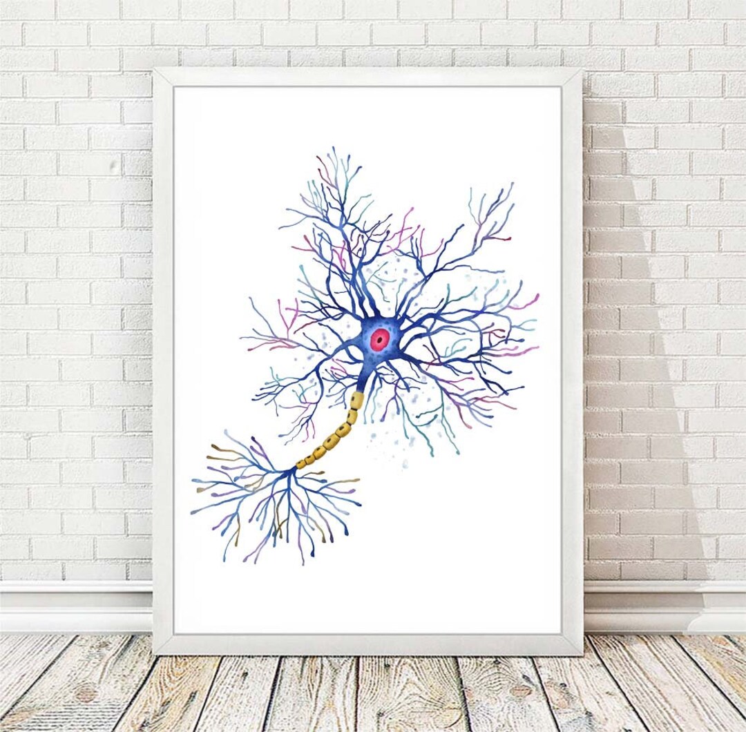 Neuron Art Print, Nerve Cell Wall Art, Neurons Drawing Gift, Brain ...