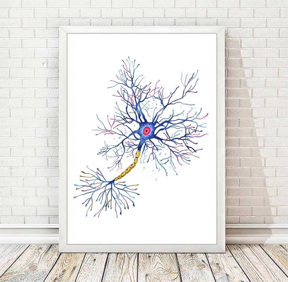 Neuron Art Print Nerve Cell Wall Art Neurons Drawing Gift - Etsy