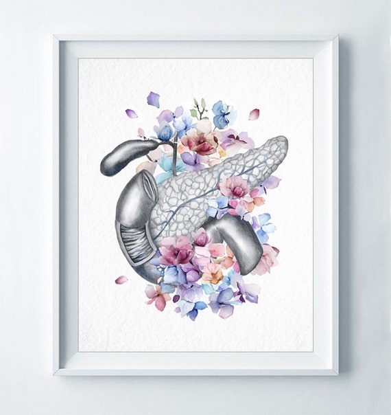 Funny Pancreas Drawing