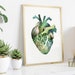 Heart Print Anatomy Medical Art Poster Science Art - Etsy